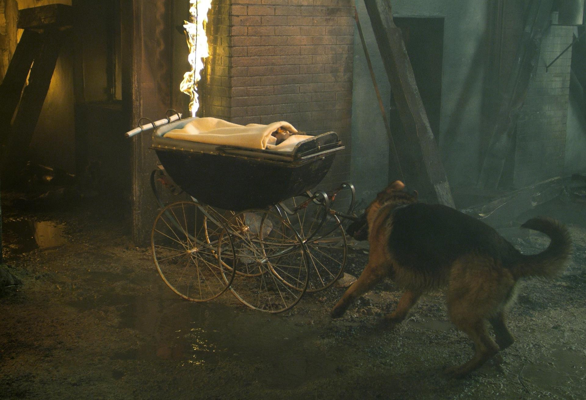 Rintintin en VOD. Film de Danny LERNER - en Streaming et à Télécharger.