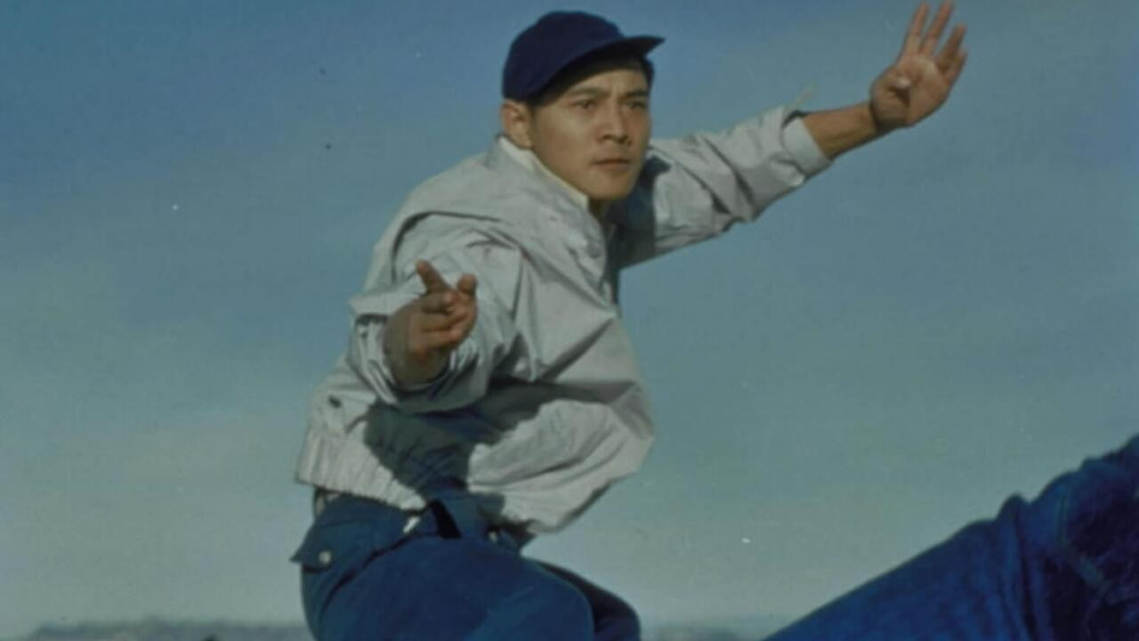 The master (jet li) - Cinémas à la demande